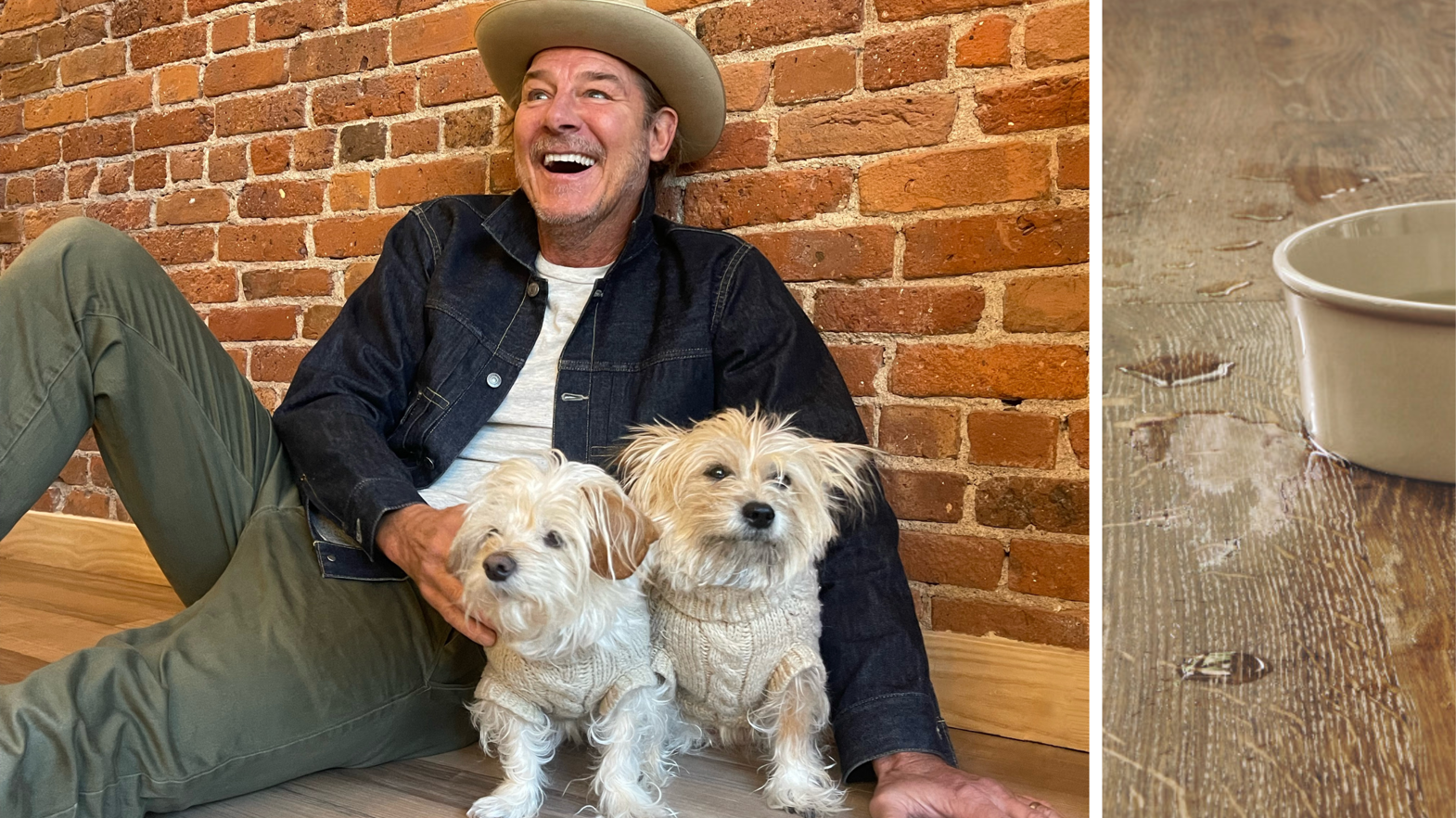 Pet Project: Flooring That Can Handle Your Four-Legged Friends